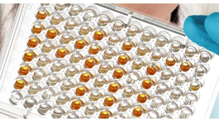 MIC Trimethoprim/Sulfamethoxazol,36x